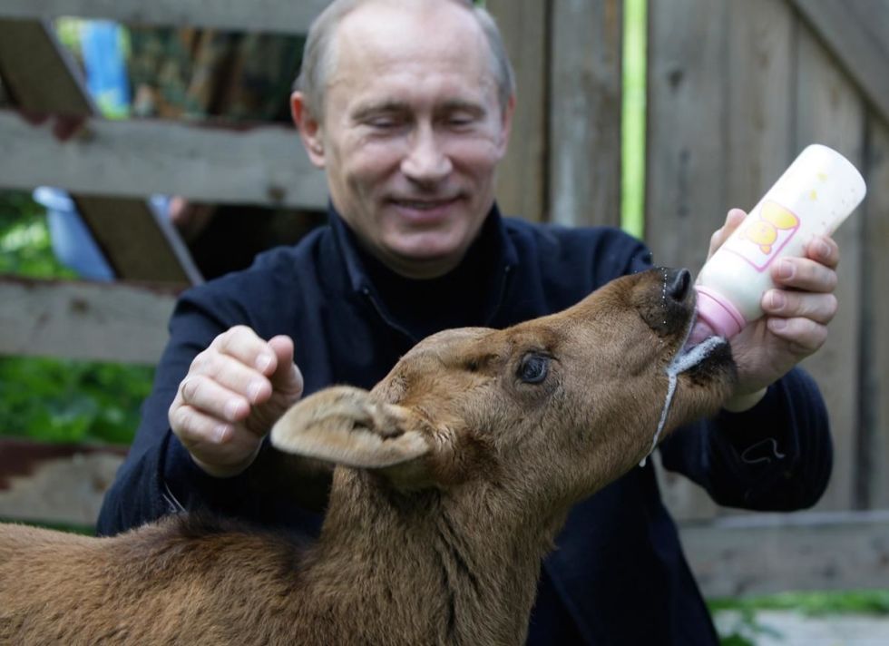 30 Perfect Photos of Putin to Celebrate His 63rd Birthday > General ...
